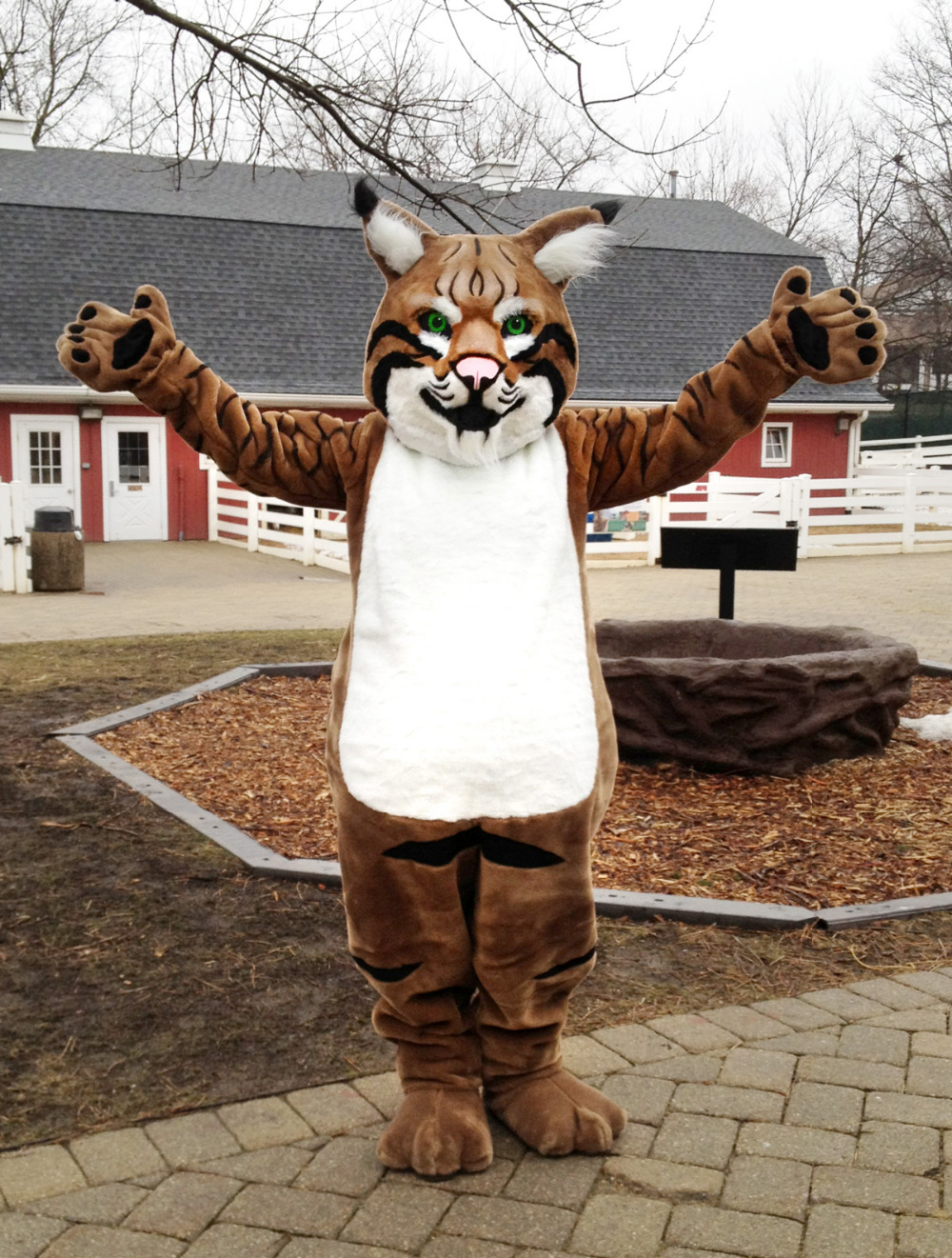 Bobcat Mascot Costume