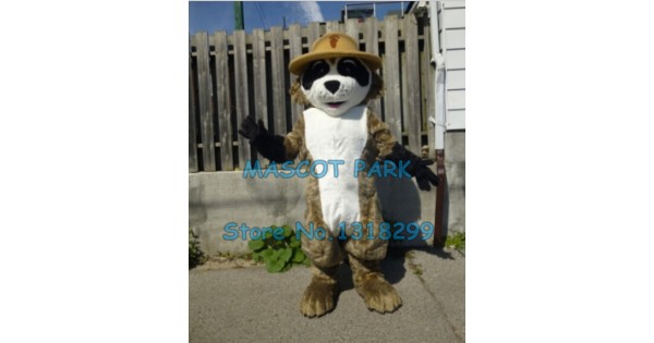 ranger rick racoon Mascot Costume